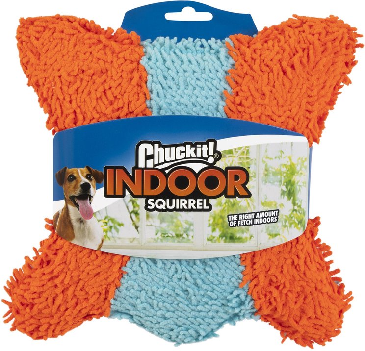 Squirrel Dog Toy (Free Shipping) | Chewy