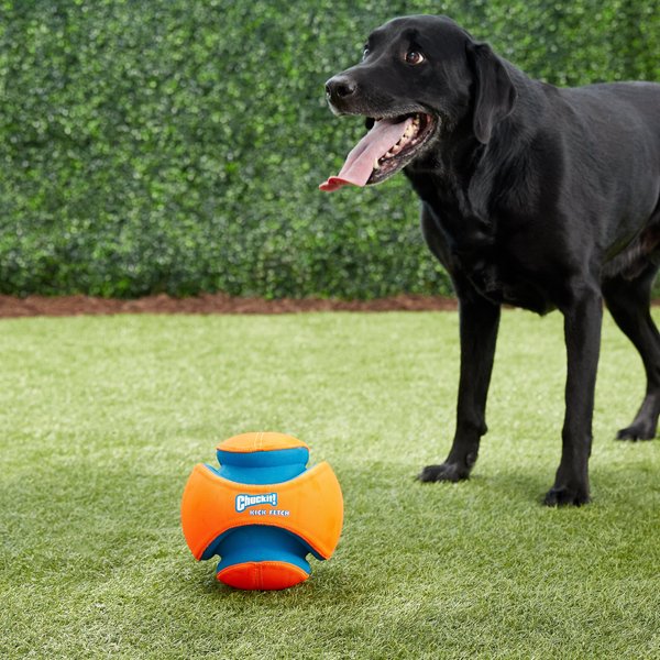 CHUCKIT! Kick Fetch Ball Dog Toy, Large - Chewy.com