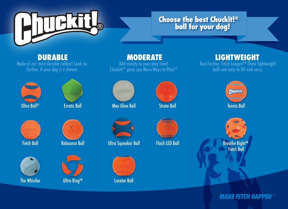 CHUCKIT! Max Glow Ball Dog Toy, 4 count, Medium - Chewy.com