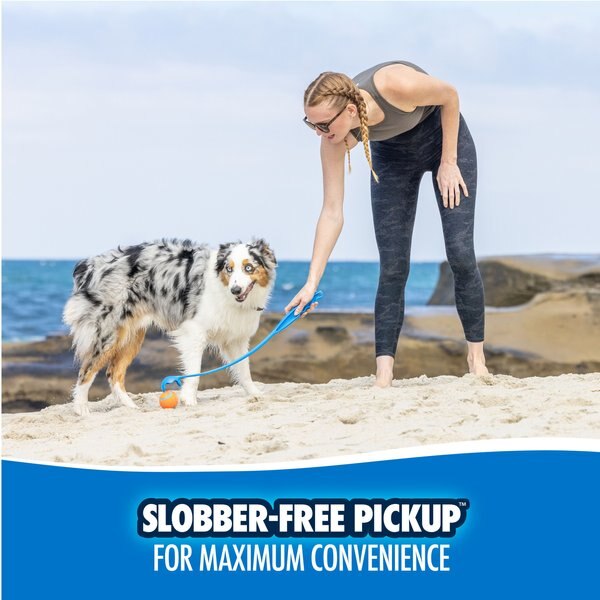 CHUCKIT! Pro Launcher Dog Toy, Color Varies, 26L - Chewy.com