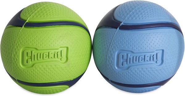 CHUCKIT! Sniff Fetch Balls Duo Dog Toy, Medium - Chewy.com