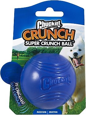 Chuckit! Balls & Sticks - Free shipping | Chewy