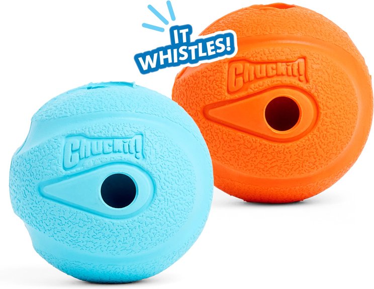 Chuckit! Balls & Sticks - Free shipping | Chewy