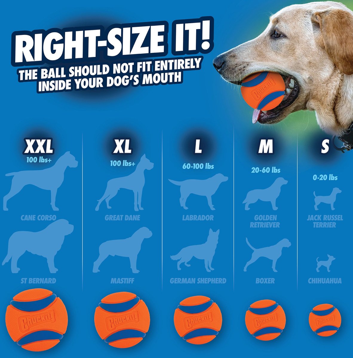 CHUCKIT! Ultra Rubber Ball Tough Dog Toy, Medium, 2 pack - Chewy.com