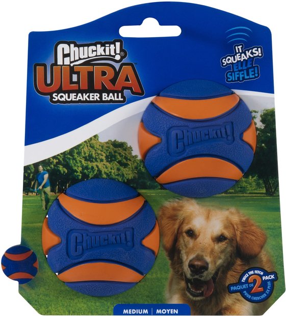 Chuckit! Balls & Sticks - Free shipping | Chewy