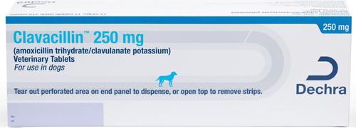 CLAVACILLIN (amoxicillin trihydrate/clavulanate potassium) Tablets for ...
