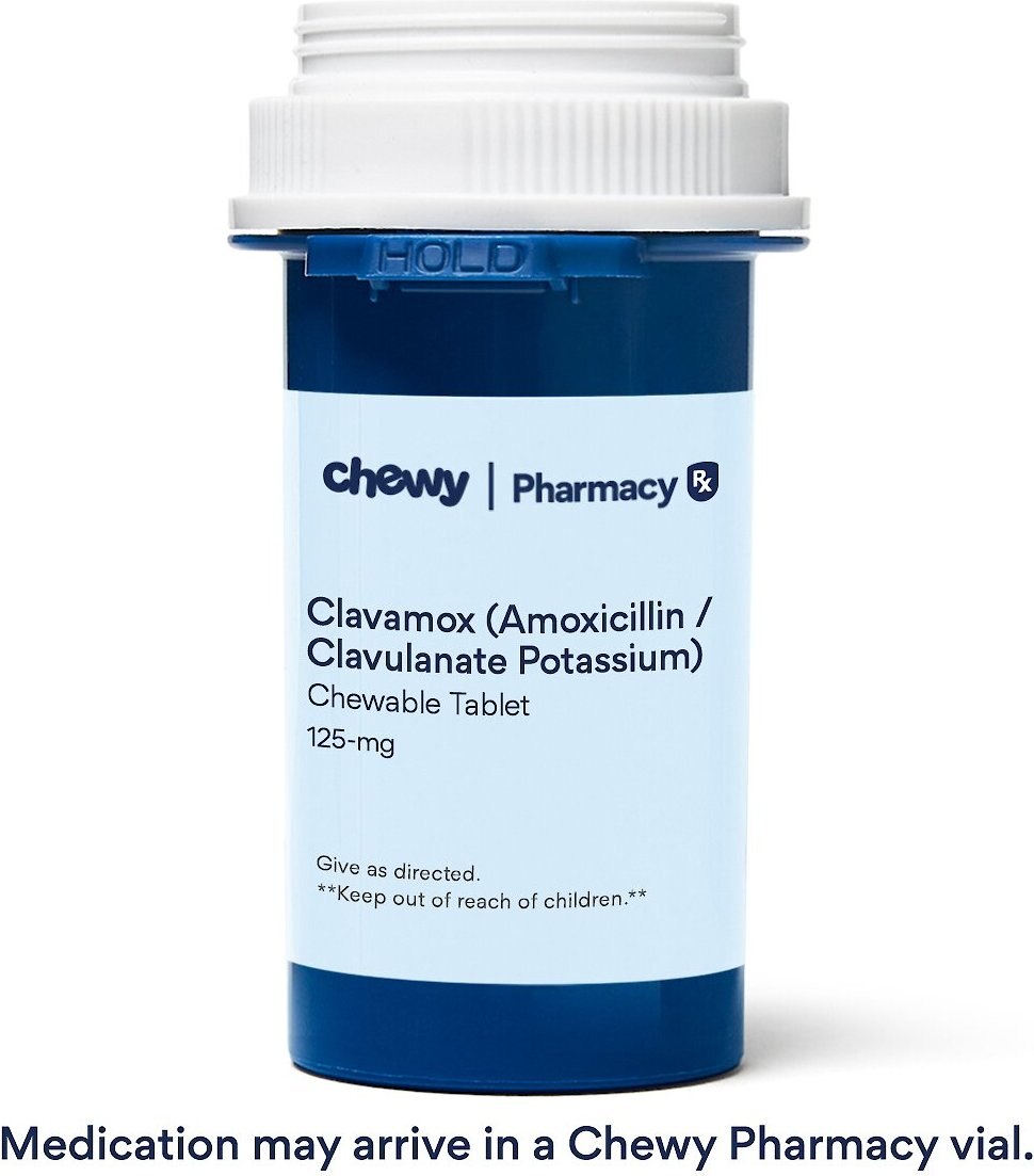 Out of Stock - CLAVAMOX (Amoxicillin / Clavulanate Potassium) Chewable ...