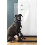CLAWGUARD Heavy Duty Door Scratch Shield, 44 x 20 in - Chewy.com