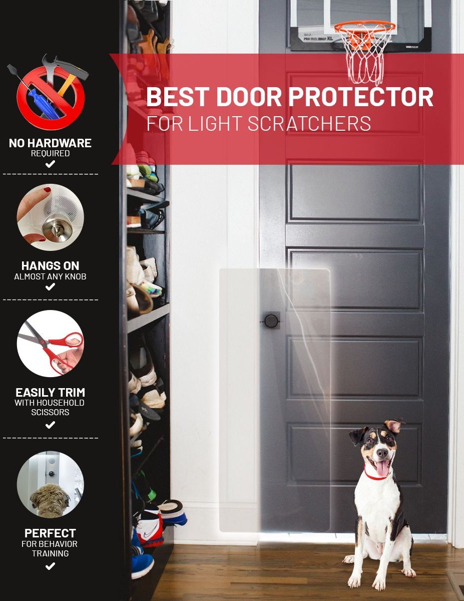 CLAWGUARD Original Door Scratch Shield, 43 x 18 in - Chewy.com