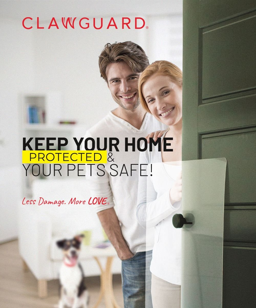 CLAWGUARD Original Door Scratch Shield, 43 x 18 in - Chewy.com