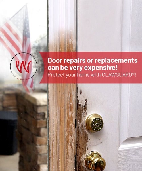 CLAWGUARD Original Door Scratch Shield, 43 x 18 in - Chewy.com