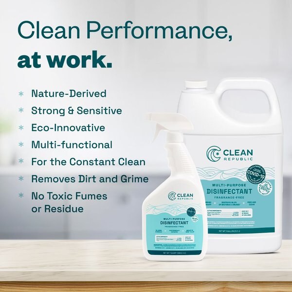 CLEAN REPUBLIC Multi-Purpose Disinfectant Spray, 1-gal jug, 1 count ...
