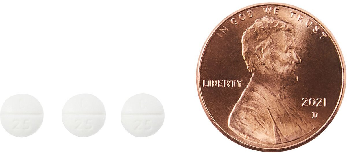 CLINTABS (Clindamycin HCl) Tablets for Dogs, 25-mg - Easy Refills ...