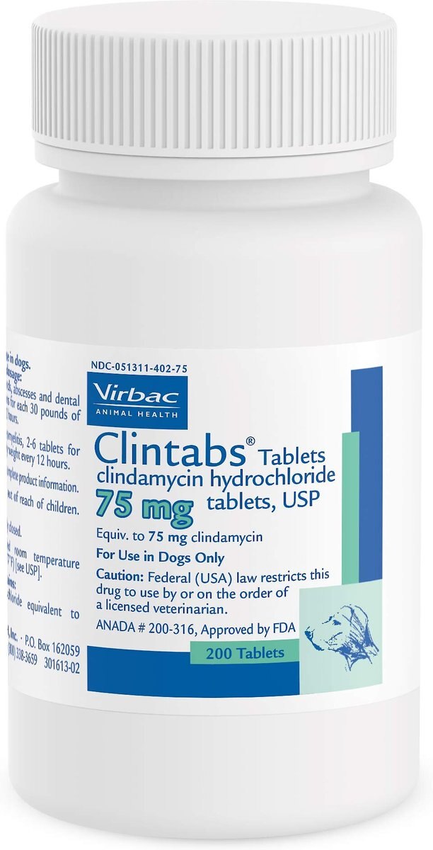 CLINTABS (Clindamycin HCl) Tablets for Dogs, 75-mg - Easy Refills ...
