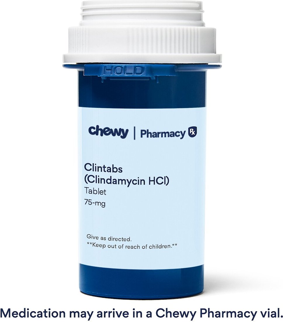 CLINTABS (Clindamycin HCl) Tablets for Dogs, 75-mg - Easy Refills ...