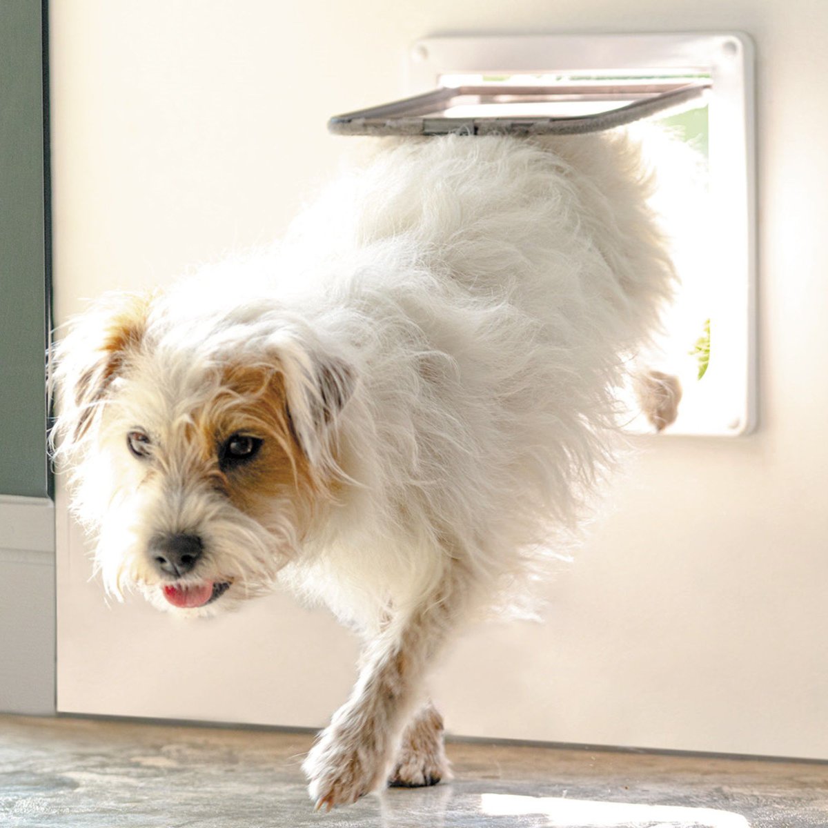 Closer Pets Cat Mate Large Cat/Small Dog 4-Way Self Lining Door, White ...