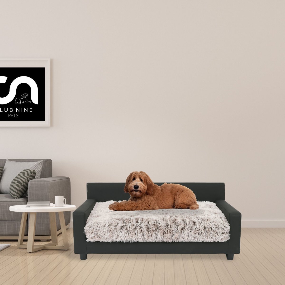 CLUB NINE PETS Dream Haven Orthopedic Elevated Dog & Cat Sofa Bed with ...