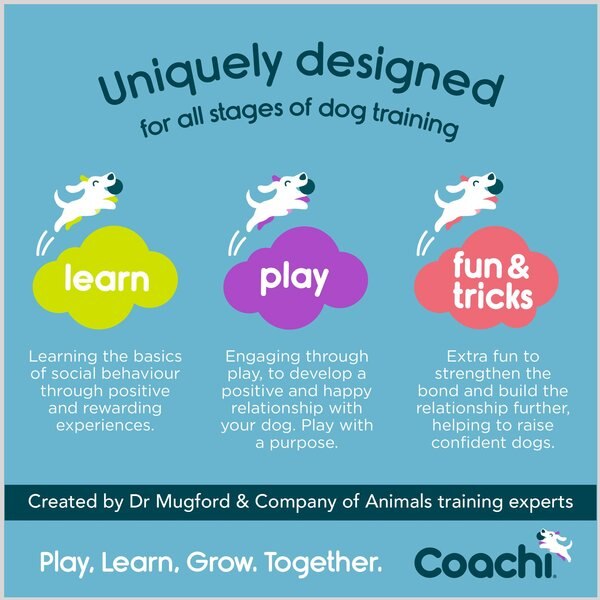 COACHI Chase & Treat Dog Dummy, Navy - Chewy.com