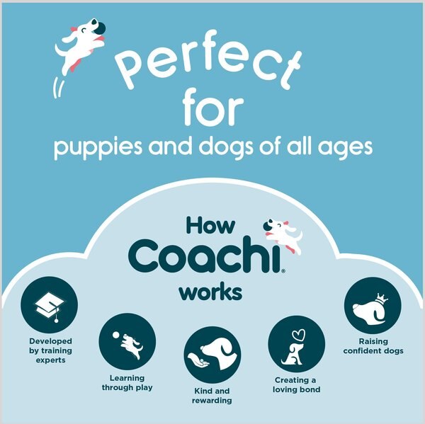 COACHI Multi-Clicker Dog Dummy, Coral - Chewy.com