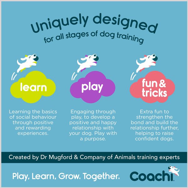 COACHI Target Stick Dog Training Stick, Navy - Chewy.com