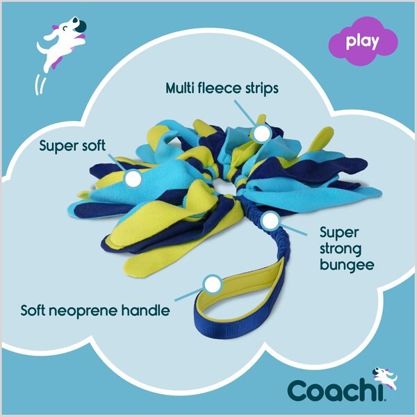 COACHI Tuggi Spider Dog Dummy, Navy - Chewy.com