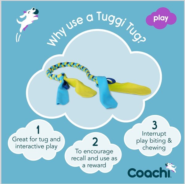COACHI Tuggi Tug Dog Dummy, Navy - Chewy.com