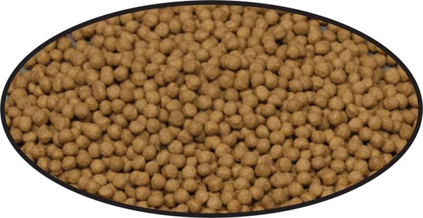 Out of Stock - COBALT AQUATICS Select Shrimp Pellets Fish Food, 7.8-oz ...