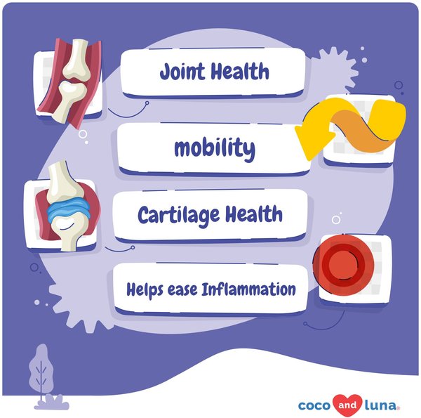 COCO AND LUNA Green Lipped Mussel, Glucosamine, MSM & Turmeric Soft ...