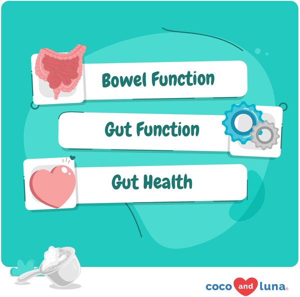 COCO AND LUNA Probiotics with Inulin Stomach & Digestion Powder ...