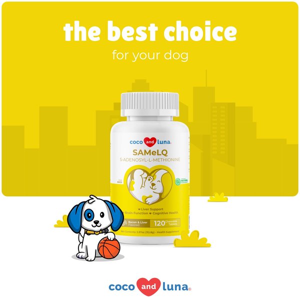 COCO AND LUNA SAMeLq Bacon & Liver Flavor Dog Supplement, 120 count - Chewy.com