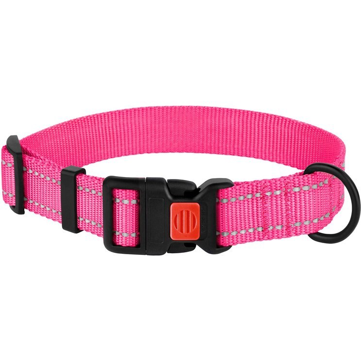 PINK DOG COLLARS (Free Shipping) | Chewy
