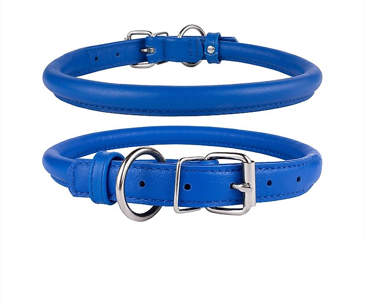 Comfortable Dog Collars (Free Shipping) | Chewy