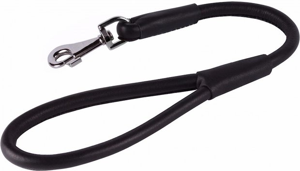 Traffic Handle Leashes - Free shipping | Chewy