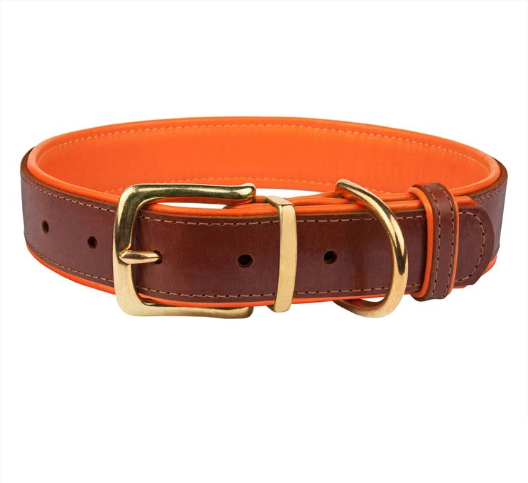 Comfortable Dog Collars (Free Shipping) | Chewy