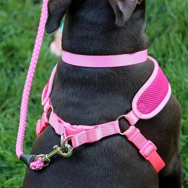 COMFORT SOFT Wrap Back Clip Dog Harness, Lime, Small: 19 to 23-in chest ...