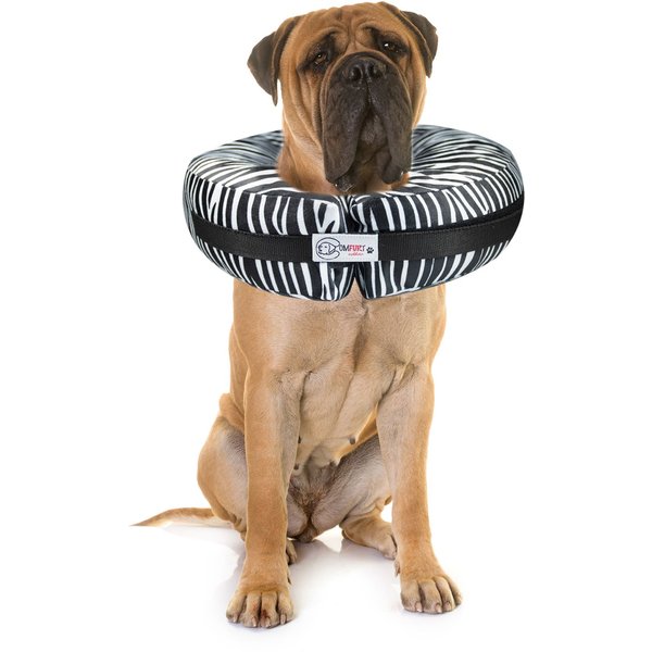 ZENPET ZenCollar Inflatable Recovery Dog & Cat Collar, XX-Large - Chewy.com