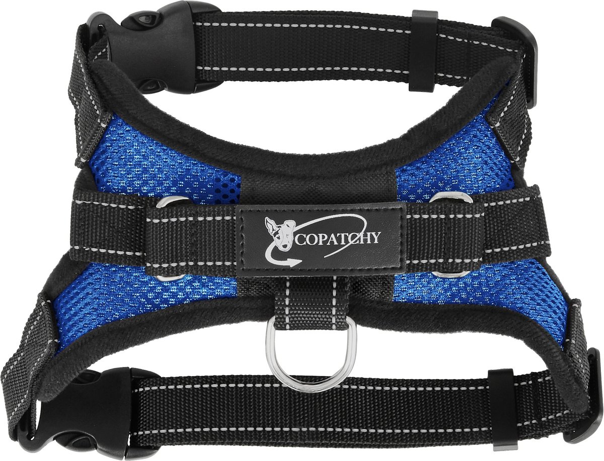 COPATCHY No-Pull Reflective Adjustable Dog Harness, Blue, Small - Chewy.com
