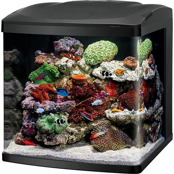 CORALIFE LED BioCube Aquarium Kit, 32-gal - Chewy.com