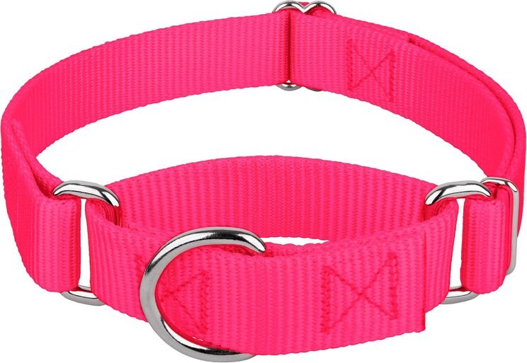PINK DOG COLLARS (Free Shipping) | Chewy