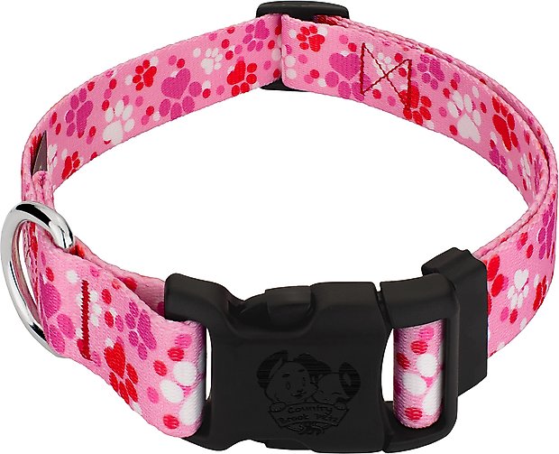 PINK DOG COLLARS (Free Shipping) | Chewy