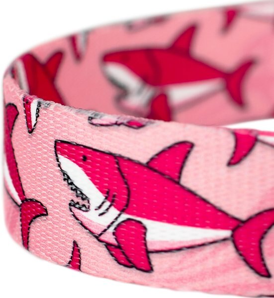 COUNTRY BROOK PETZ Pink Sharks Dog Leash, Pink, Medium: 4-ft long, 5/8 ...