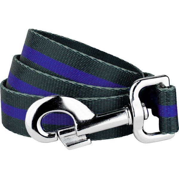 WAUDOG Glows In The Dark Dog Leash, 4-ft long, 9/16-in wide - Chewy.com