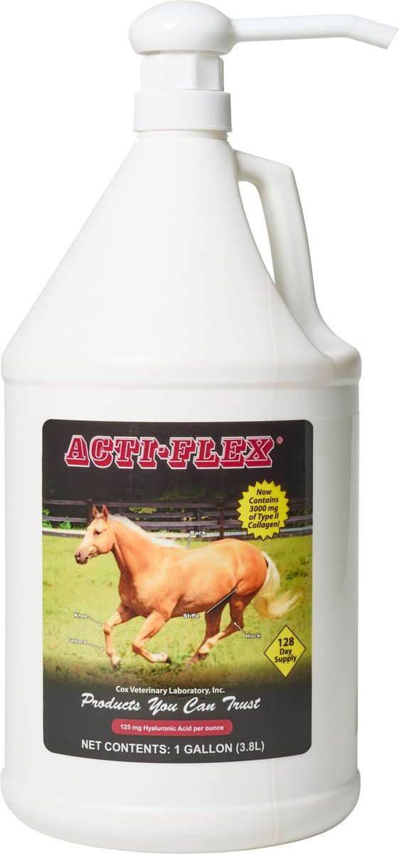 COX VET LAB Acti-Flex Joint Liquid Horse Supplement, 1-gal bottle ...