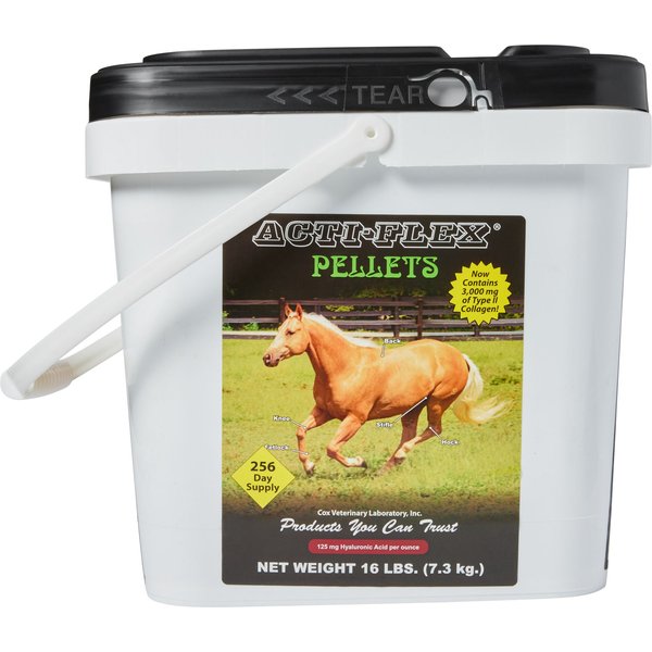 COX VET LAB Acti-Flex Powder Horse Supplement, 16-lb bag - Chewy.com