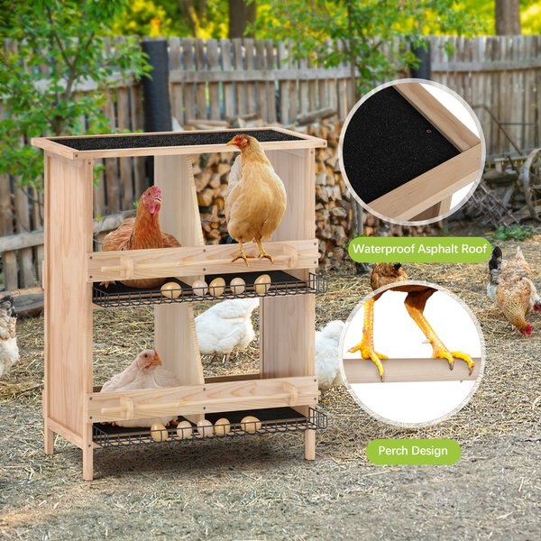 COZIWOW 2-Tier Wooden Chicken Nesting Box for Hens - Chewy.com