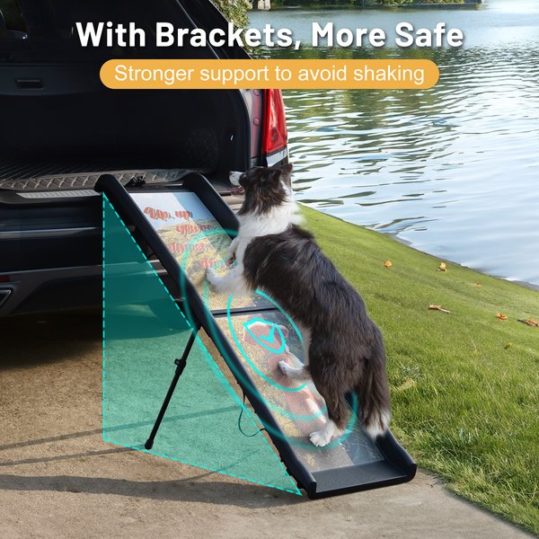 COZIWOW 62-in Foldable Dog Car Ramp, Multicolored - Chewy.com