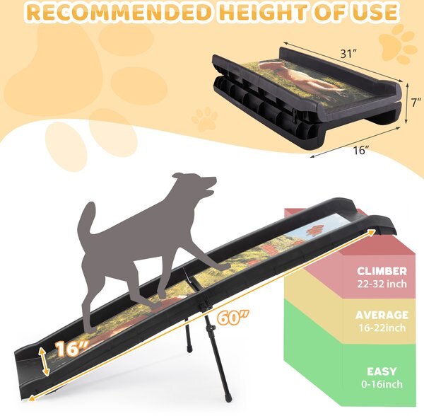 COZIWOW 62-in Foldable Dog Car Ramp, Multicolored - Chewy.com