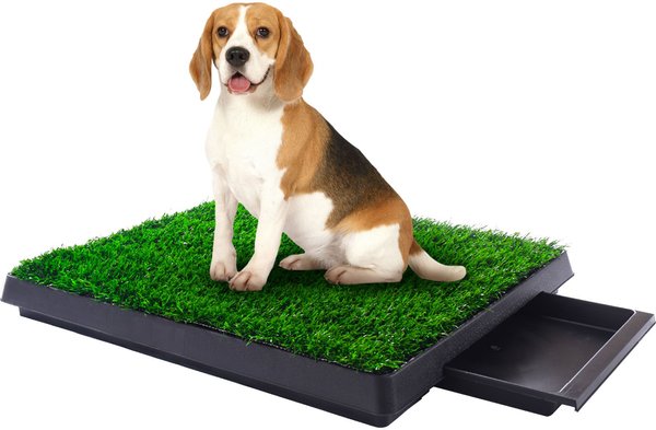 COZIWOW by Jaxpety Indoor Grass Potty Dog Pee Turf with Drawer, 20 x 25 ...