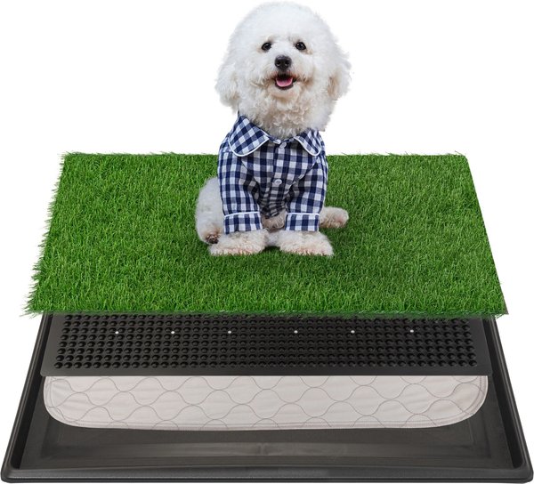 COZIWOW Washable Puppy Pee Turf Grass Pad, 30 x 20-in - Chewy.com