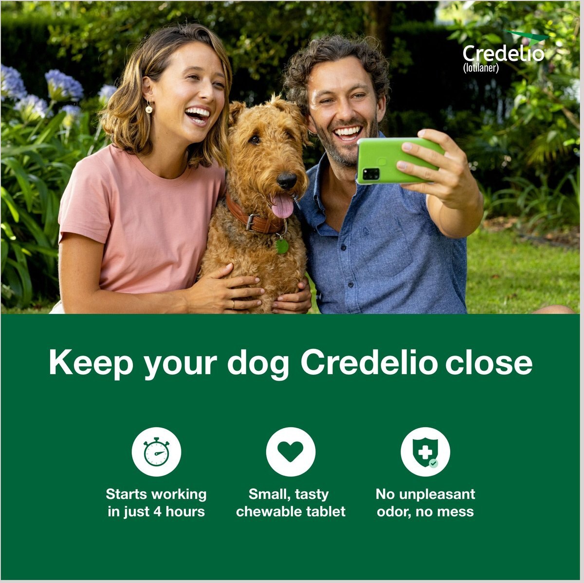 CREDELIO Chewable Tablet for Dogs, 12.1-25 lbs, (Orange Box) - Easy ...
